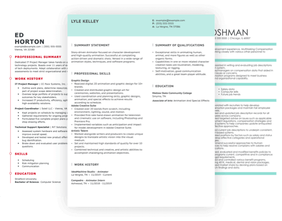 Functional Resume Format: When to Use It & How to Guide