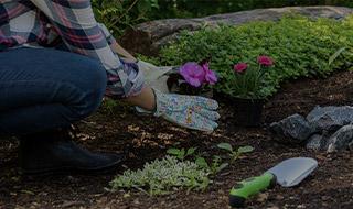 Landscaping Resume Examples and Career Tips